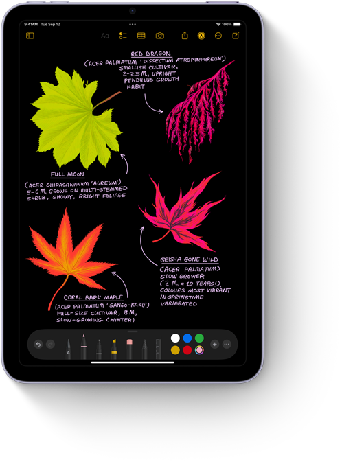 iPad mini - Apple (CA)