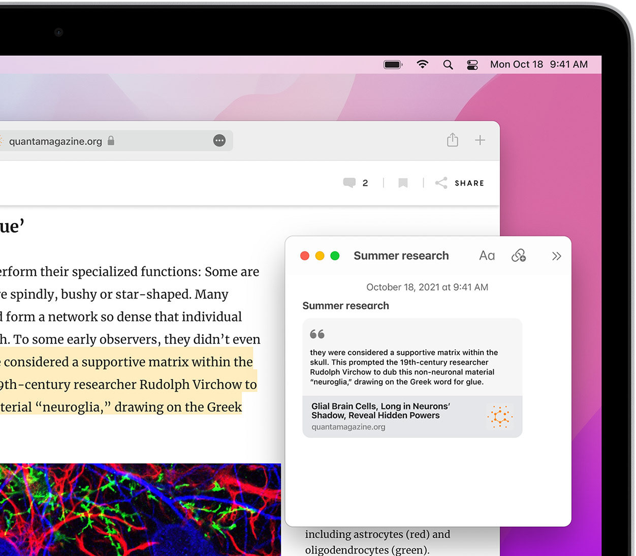Thebrain 9 how to dock notes at bottom of screen - caqwemix