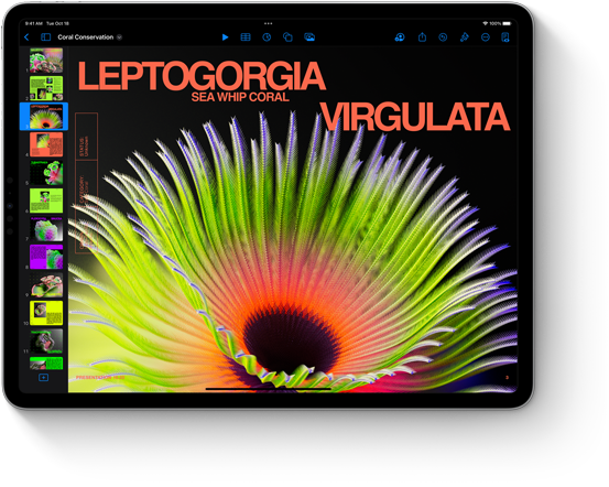 iPad Pro - Apple (ID)