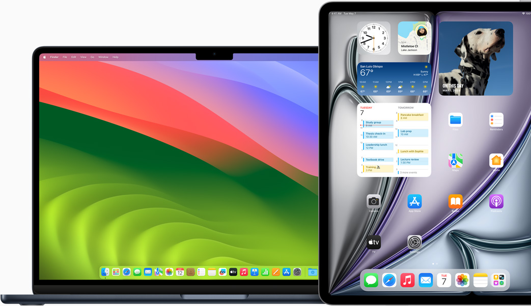 Education - University Students - Apple (AE)