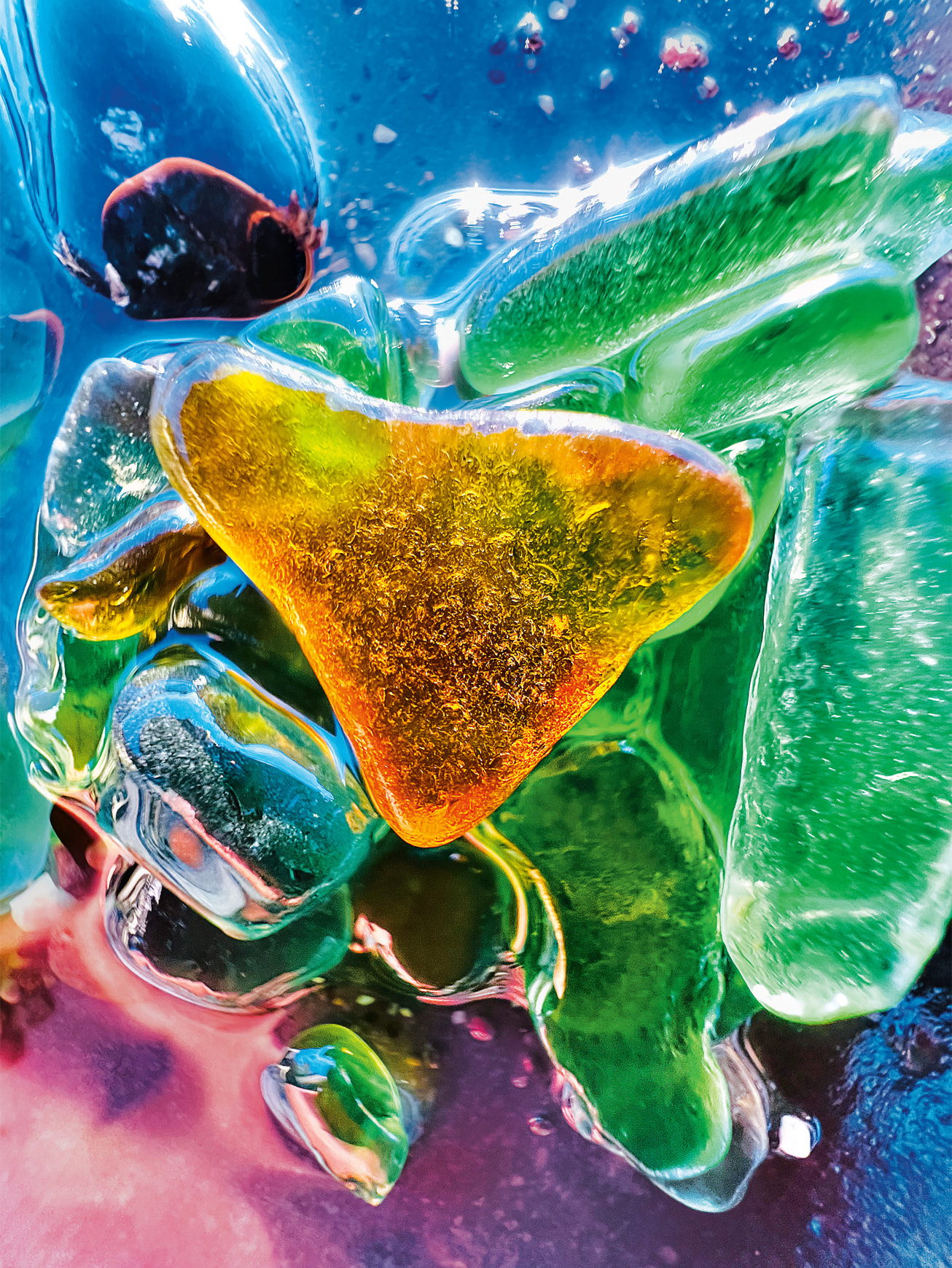 Apple unveils the best photos from the Shot on iPhone Macro Challenge ...
