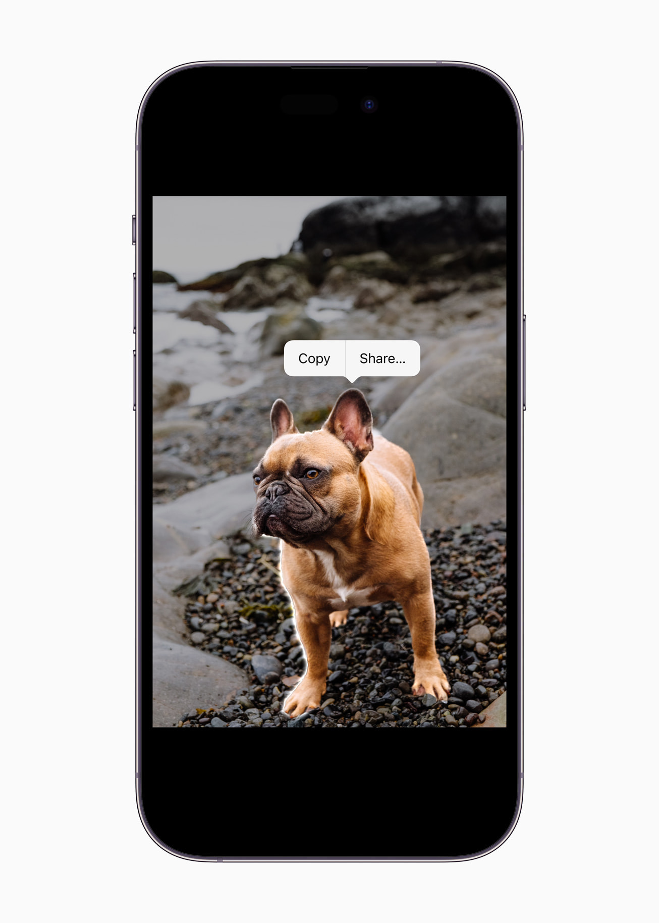 iOS 16 è disponibile da oggi - Apple (IT)