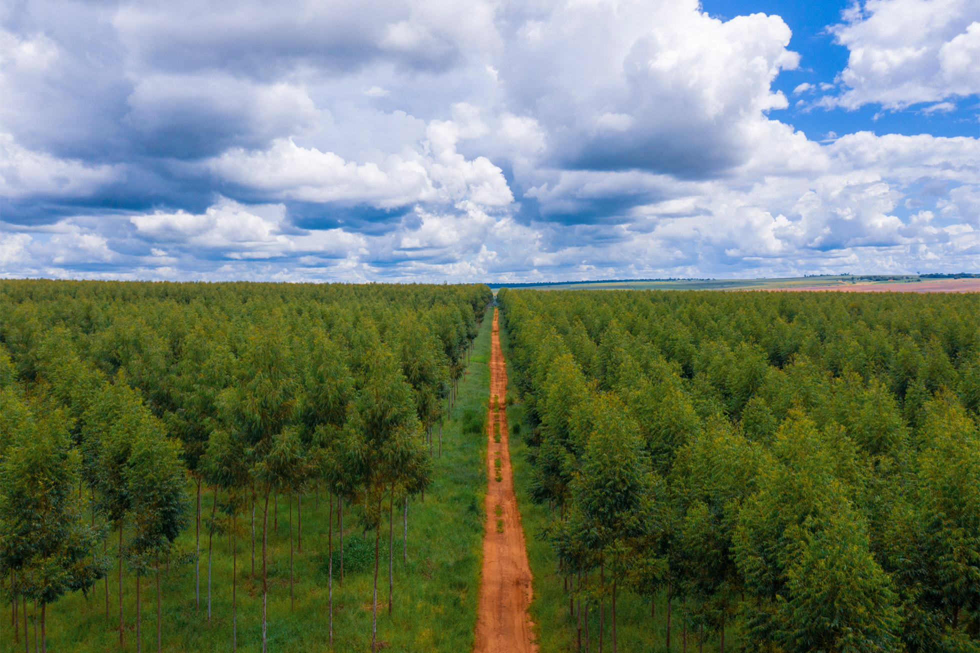 Apple expands innovative Restore Fund for carbon removal - Apple