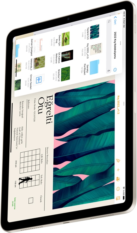 iPad Air - Apple (TR)